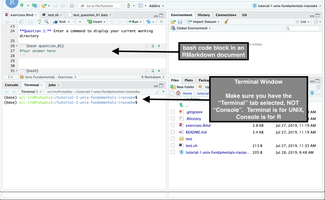 Guide to Tutorial 1 : Unix Fundamentals | BC3203