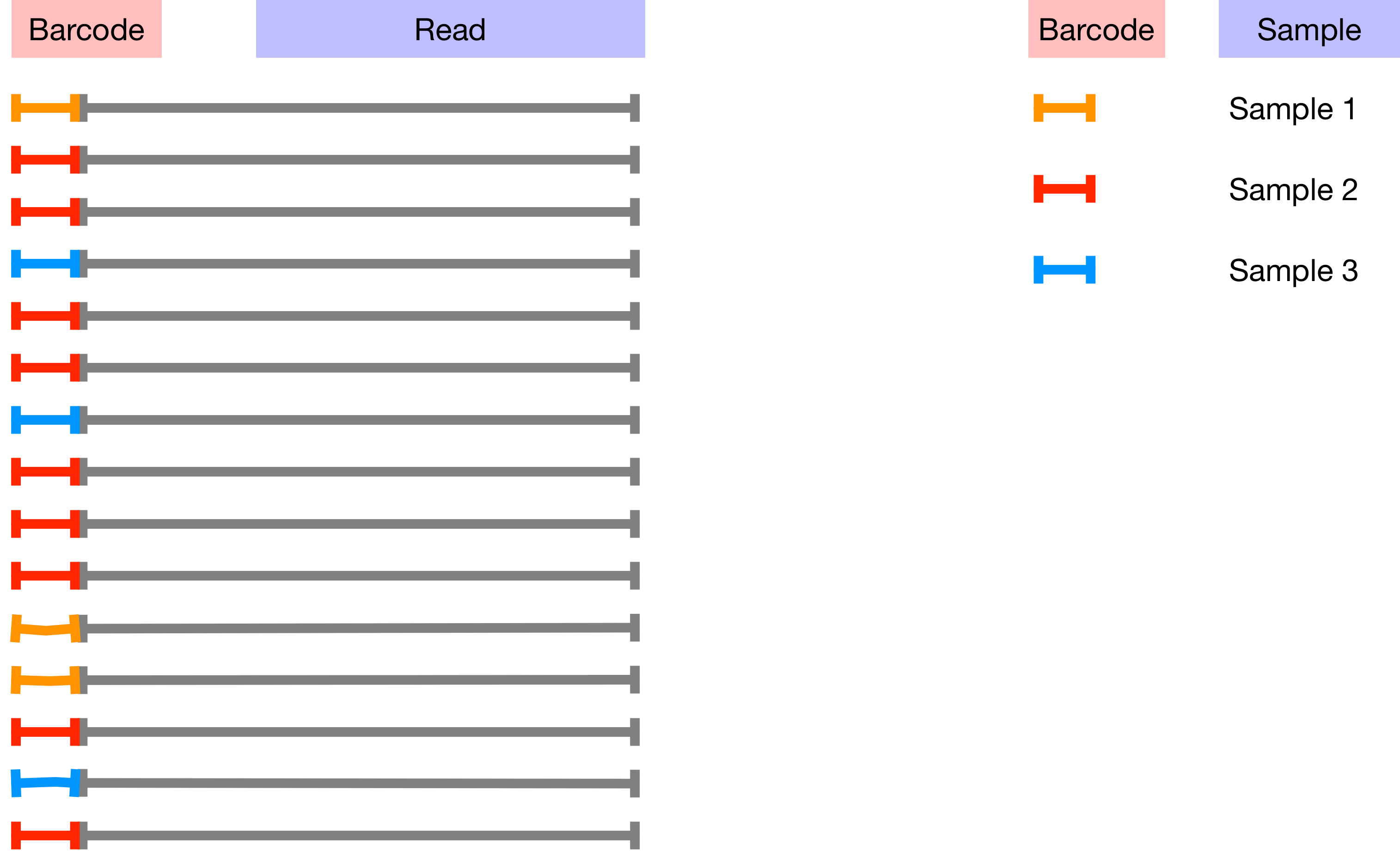Metagenomics Assignment Guide | BC3203