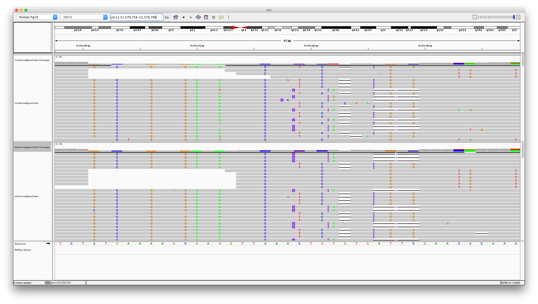Tutorial 7: Analysis of Genomic Variants | BC3203