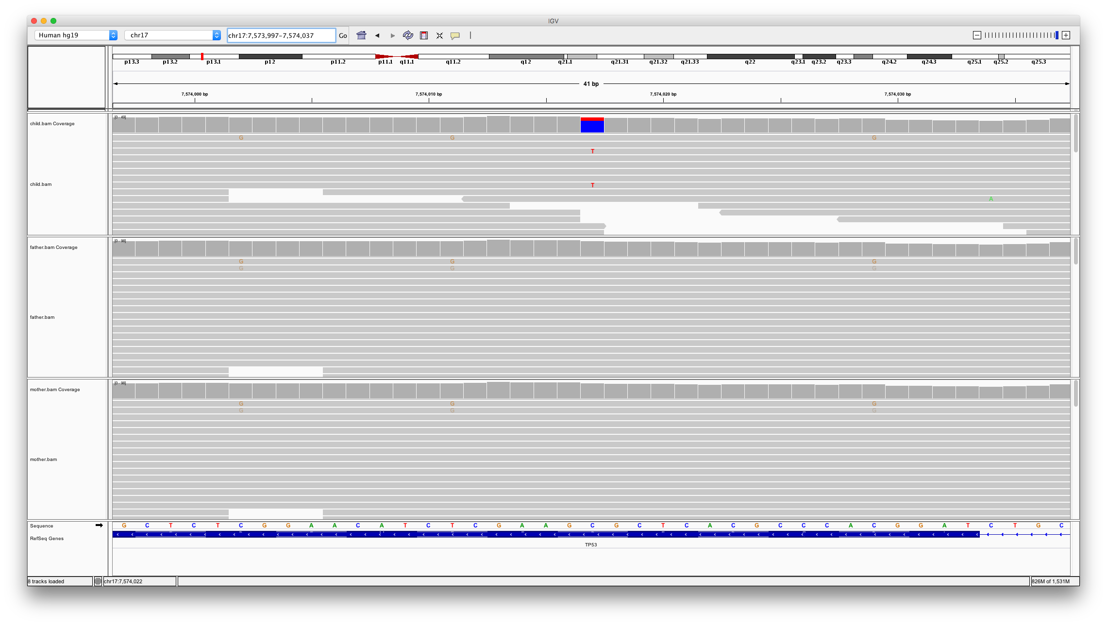 Tutorial 7: Analysis of Genomic Variants | BC3203