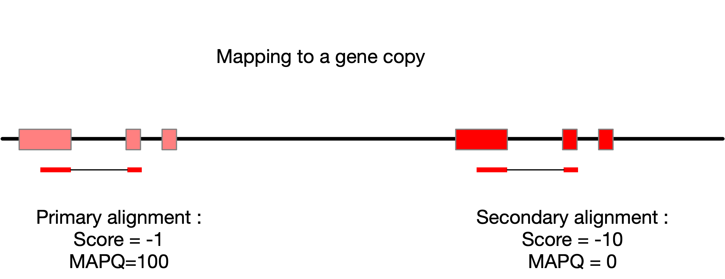 RNASeq Assignment Guide | BC3203