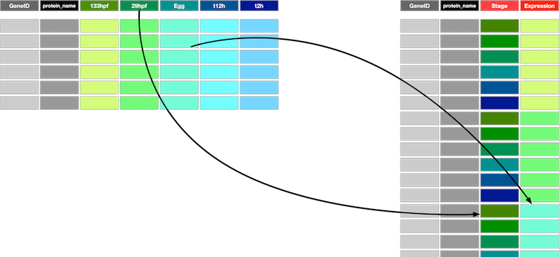 Tutorial 4 : Introduction to the Tidyverse | BC3203