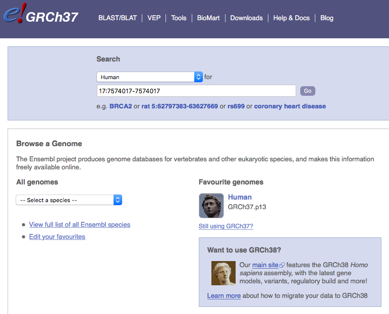 Tutorial 7: Analysis of Genomic Variants | BC3203