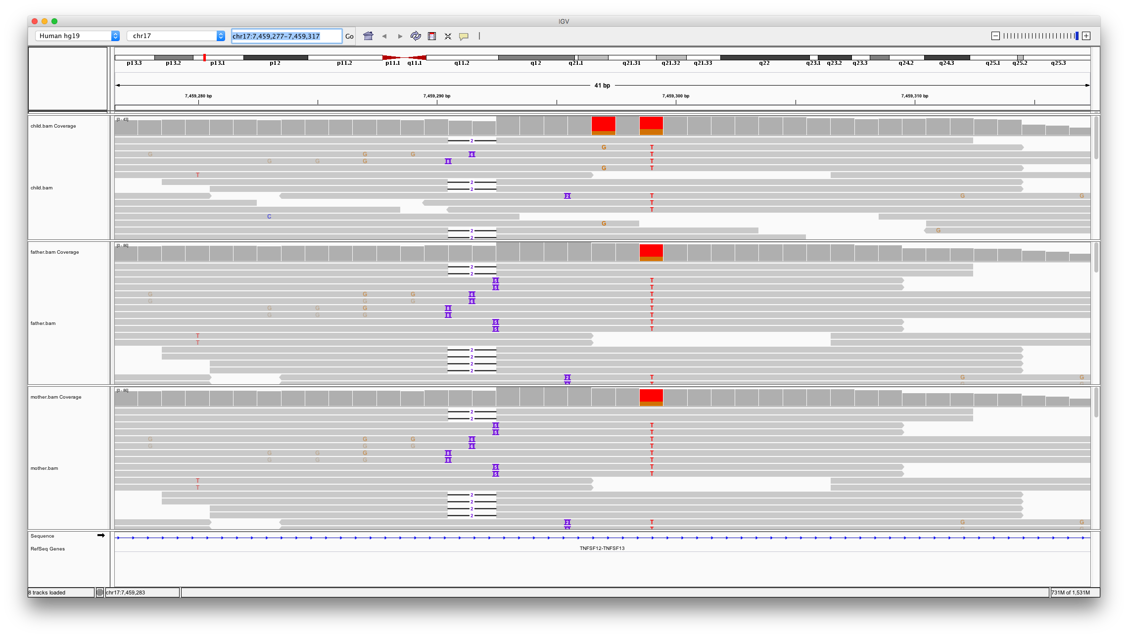 Tutorial 7: Analysis of Genomic Variants | BC3203