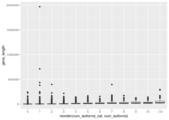 Week 8 Coding Lecture | BC3203